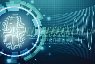 CRYPTOID | Tudo sobre o universo da identificação digital