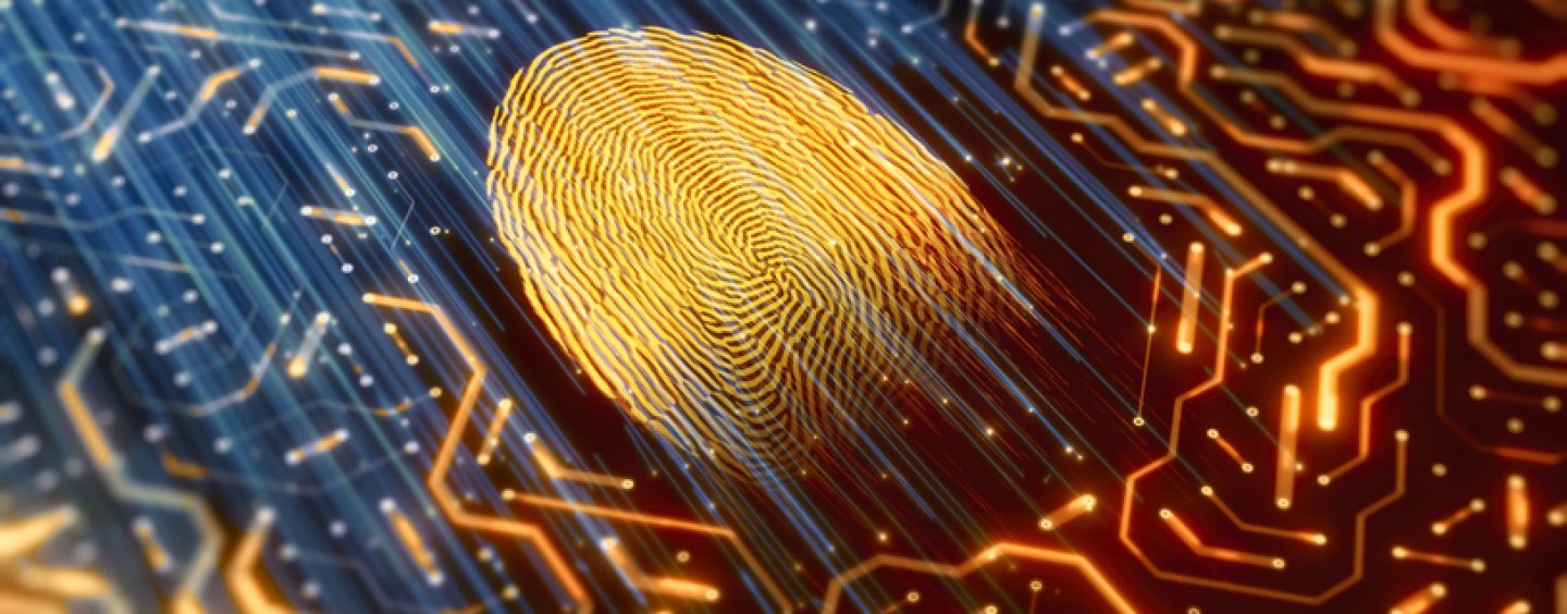 How Digital Identity and Biometric Technology Are Transforming Emerging ...